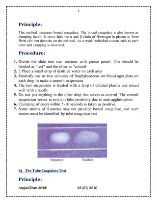 Microbes isolation from different environments | DOCX