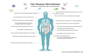 Microbes Maketh Man | PPT