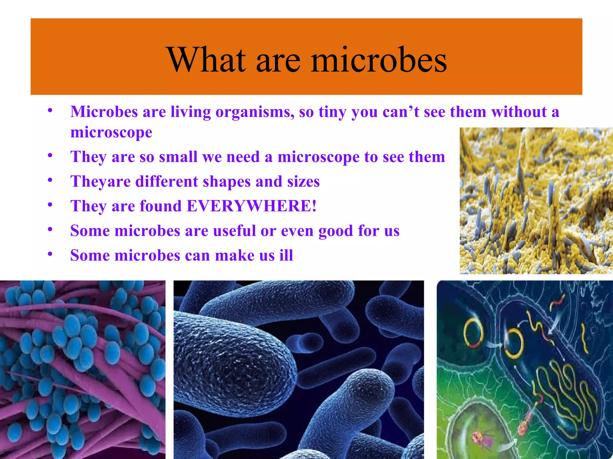 Microbes of extreme environment | PPT