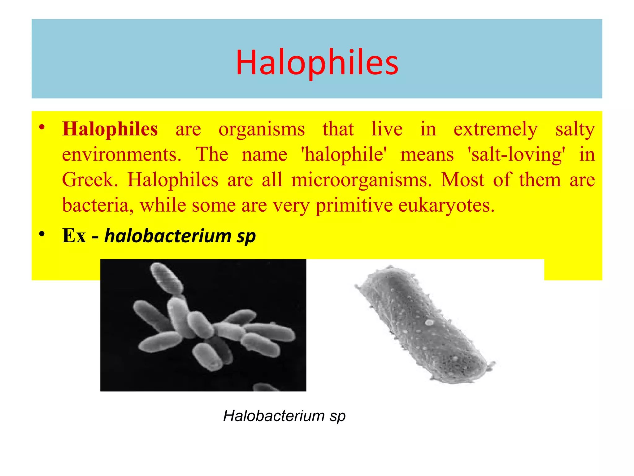 Microbes of extreme environment | PPT