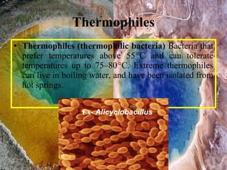 Microbes of extreme environment | PPT
