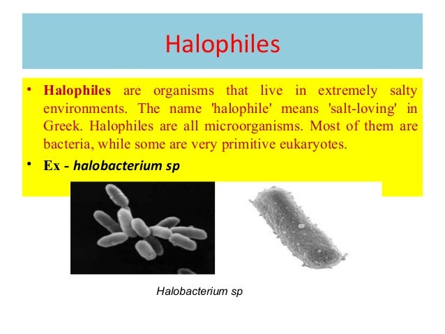 Microbes of extreme environment