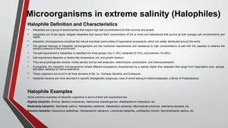 Microbes of Extreme Environment Microbial Interaction.pptx