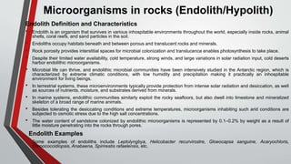 Microbes of Extreme Environment Microbial Interaction.pptx