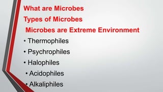 Microbes of Extreme Environment Microbial Interaction.pptx