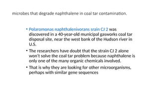 Microbial activities for biogas production.pptx