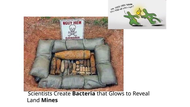 Microbial activities for biogas production.pptx