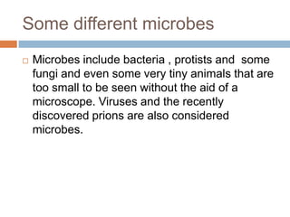 Microbes | PPTX