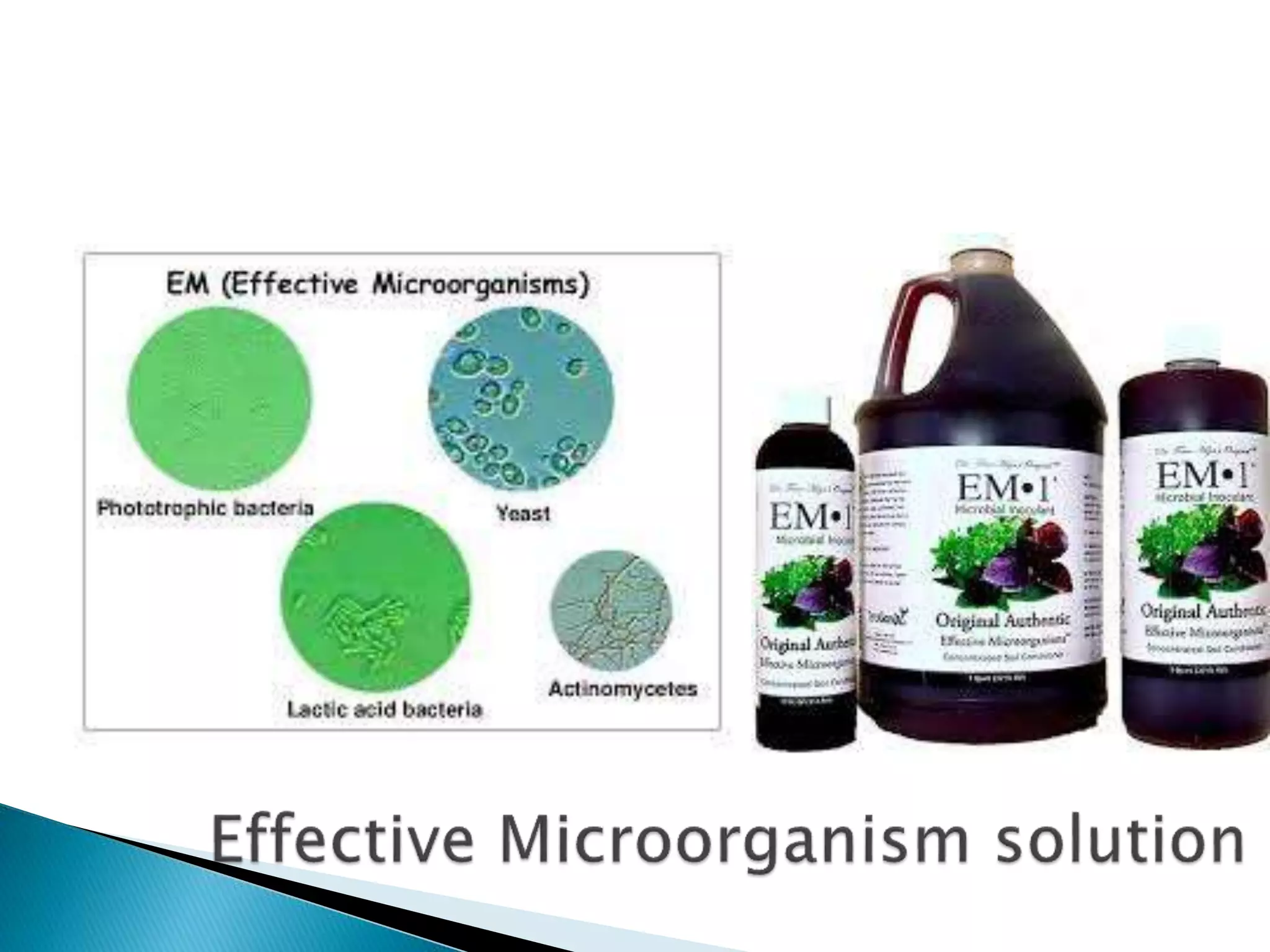 Microbes in Agriculture | PPTX