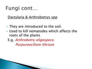 Microbes in Agriculture | PPTX