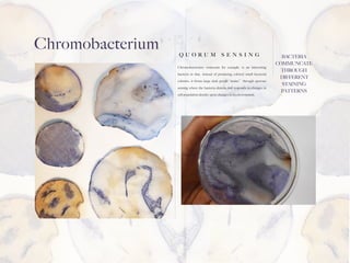 Leveraging the Power of Microbes | PPT