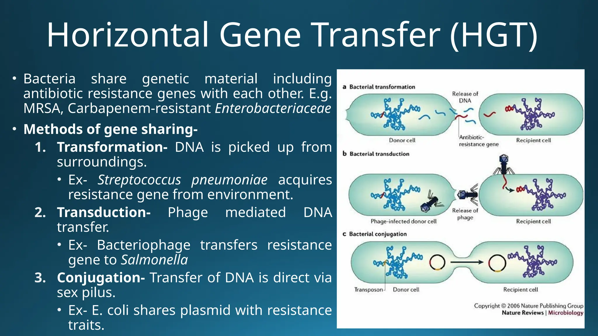 MICROBES RESISTING ANTIBIOTICS and their mechanism.pptx
