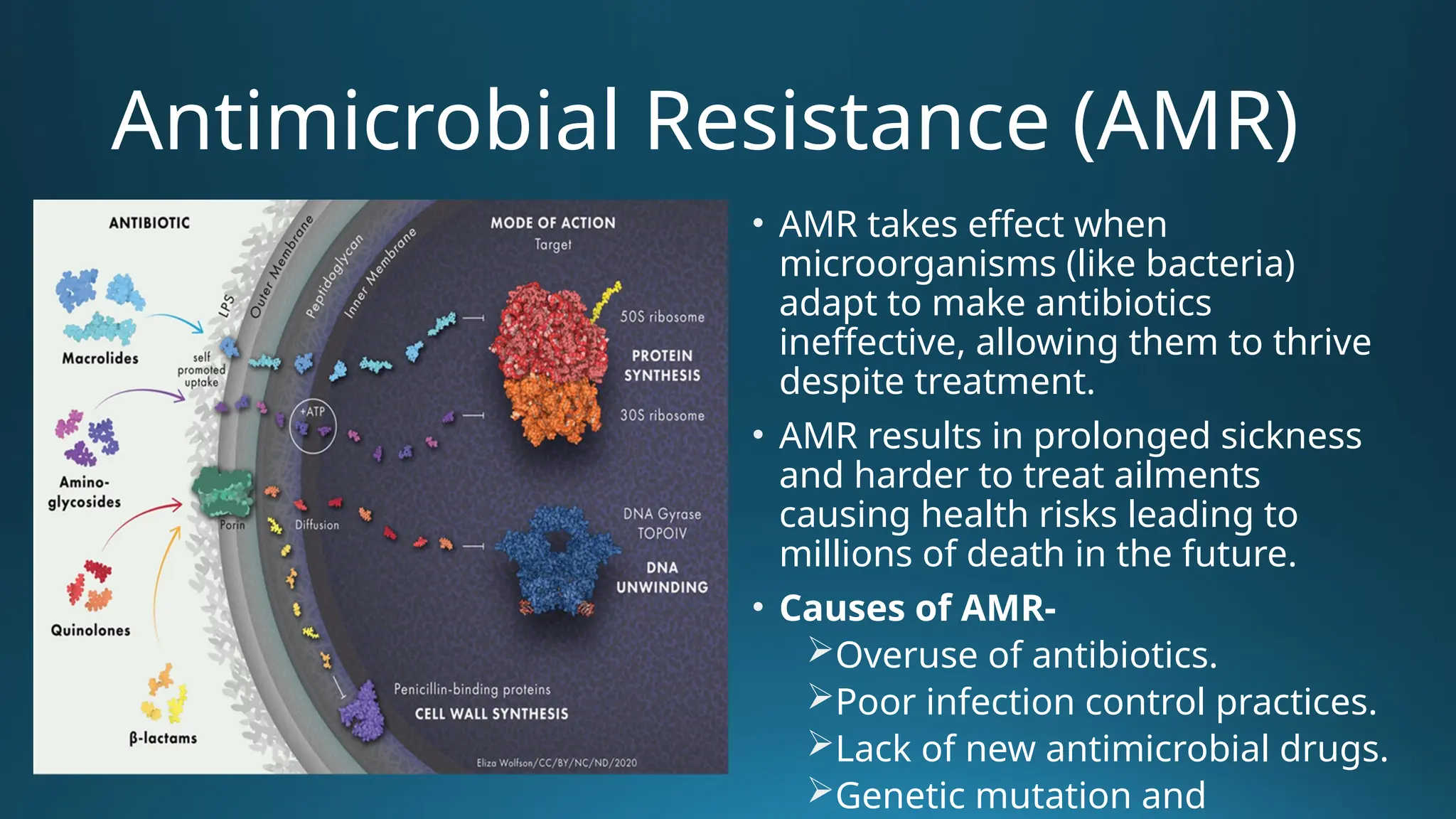 MICROBES RESISTING ANTIBIOTICS and their mechanism.pptx