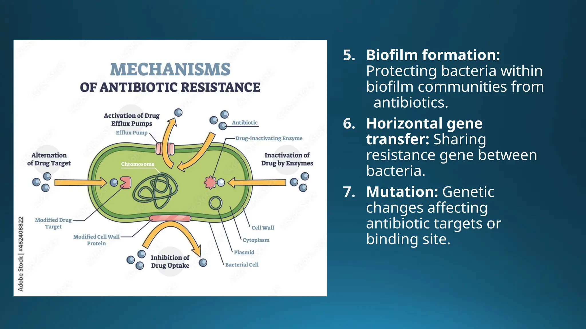 MICROBES RESISTING ANTIBIOTICS and their mechanism.pptx