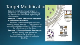 MICROBES RESISTING ANTIBIOTICS and their mechanism.pptx