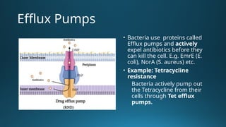 MICROBES RESISTING ANTIBIOTICS and their mechanism.pptx