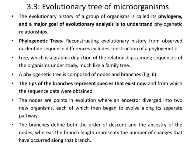 Microbial Diversity Pptx 123333333333333333333 Ppt