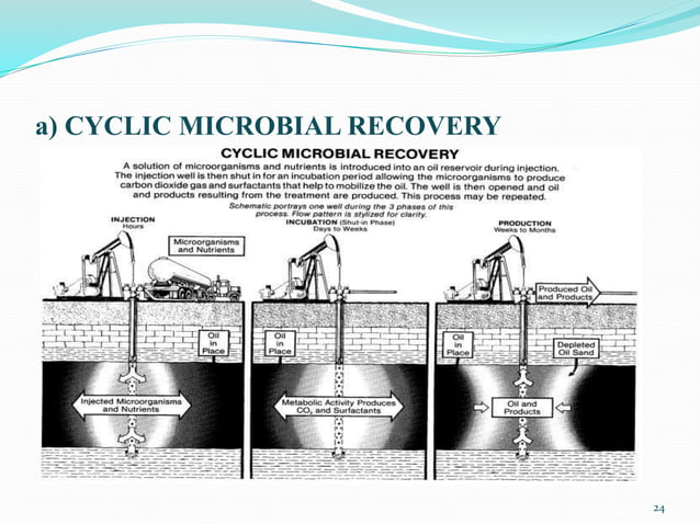 Microbial Enhance Oil Recovery | PPTX | Chemistry | Science