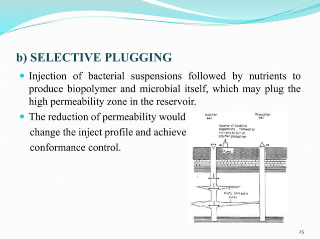 Microbial Enhance Oil Recovery | PPTX | Chemistry | Science