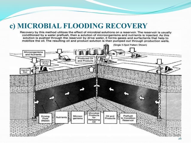 Microbial Enhance Oil Recovery | PPTX | Chemistry | Science