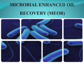Microbial Enhance Oil Recovery | PPTX