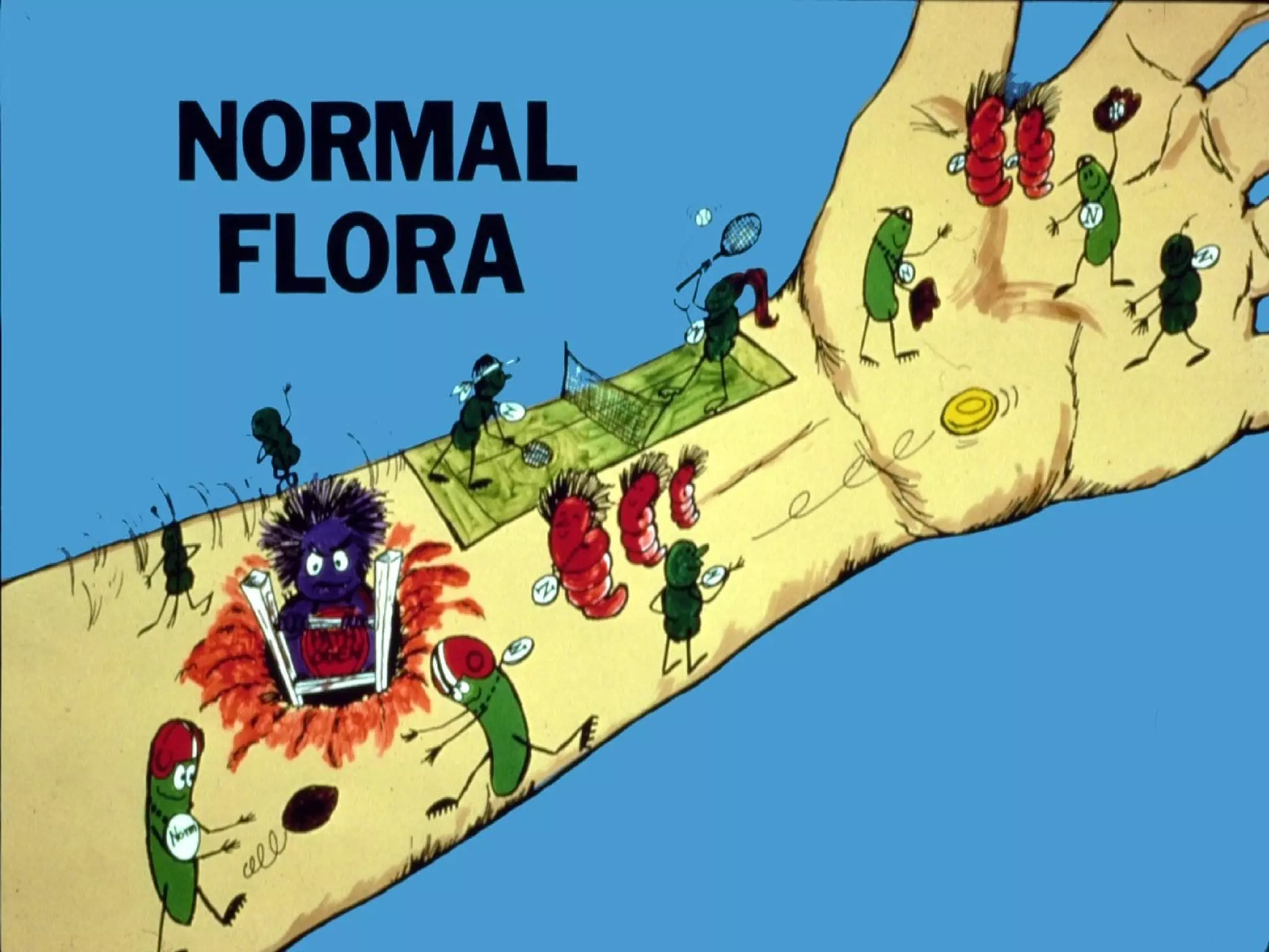 Microbial flora-of-the-human-body | PPT