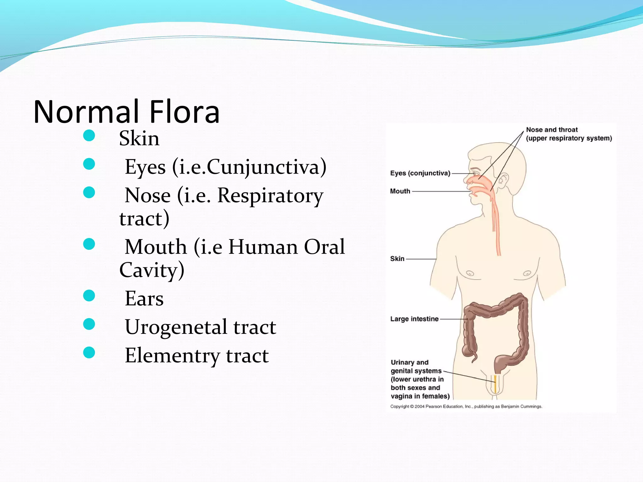 Microbial flora-of-the-human-body | PPT | Infectious Diseases ...