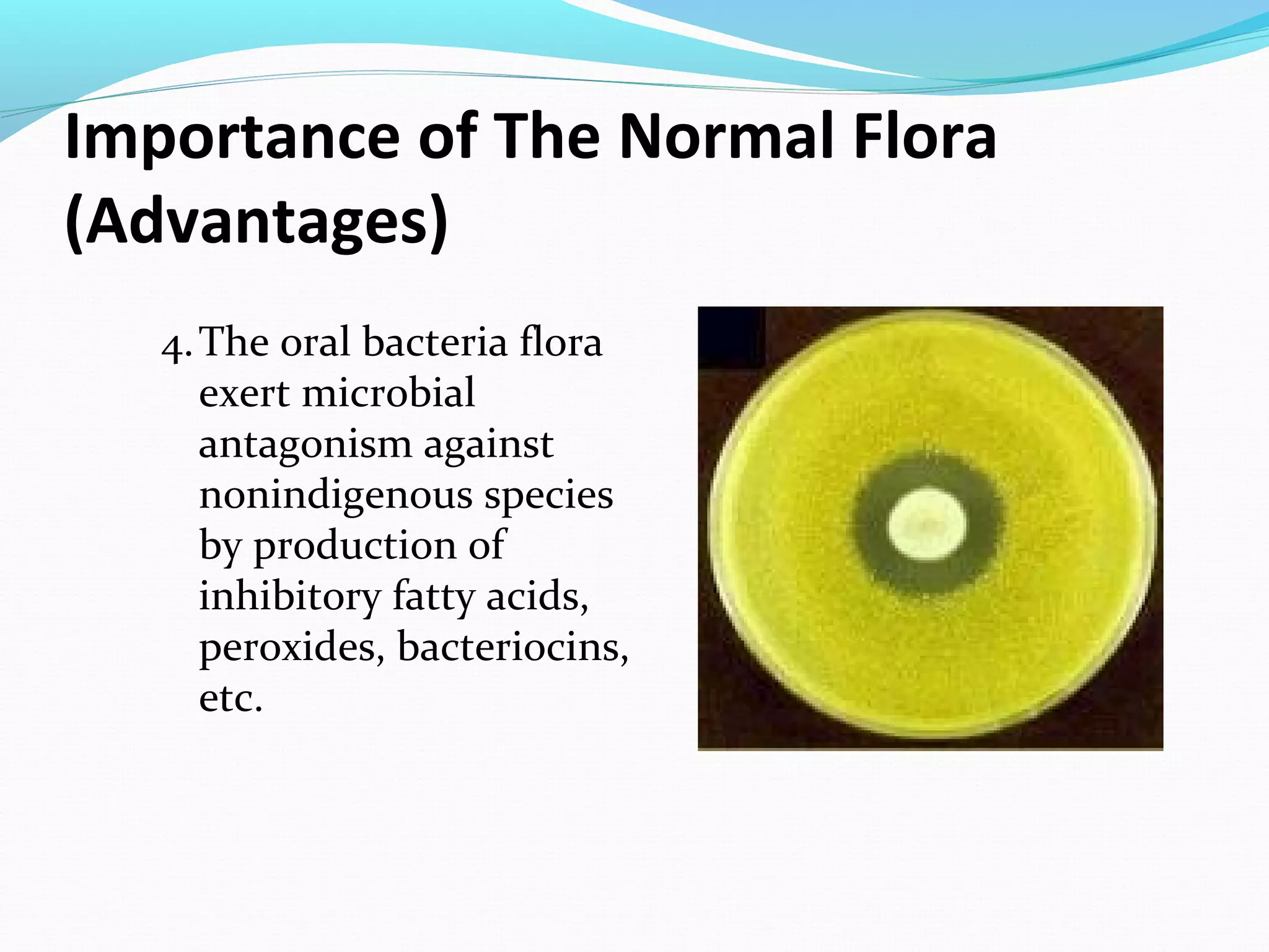 Microbial flora-of-the-human-body | PPT