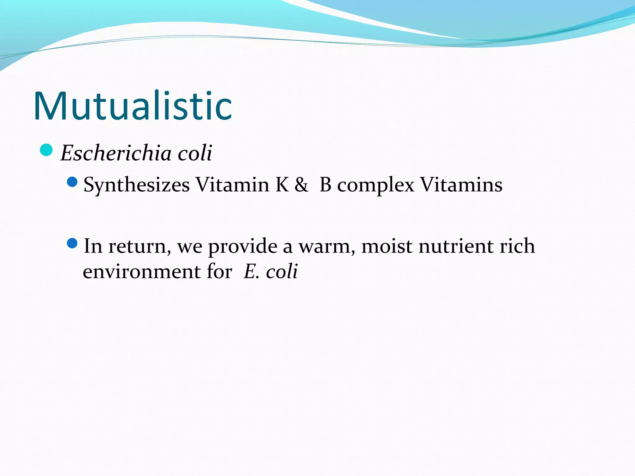 Microbial flora-of-the-human-body | PPT