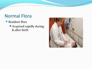 Microbial flora-of-the-human-body | PPT