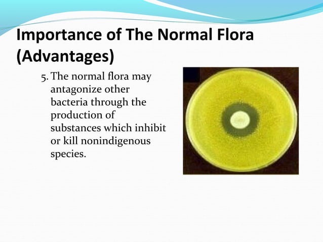 Microbial flora-of-the-human-body | PPT | Infectious Diseases ...
