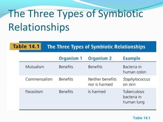 Microbial flora-of-the-human-body | PPT
