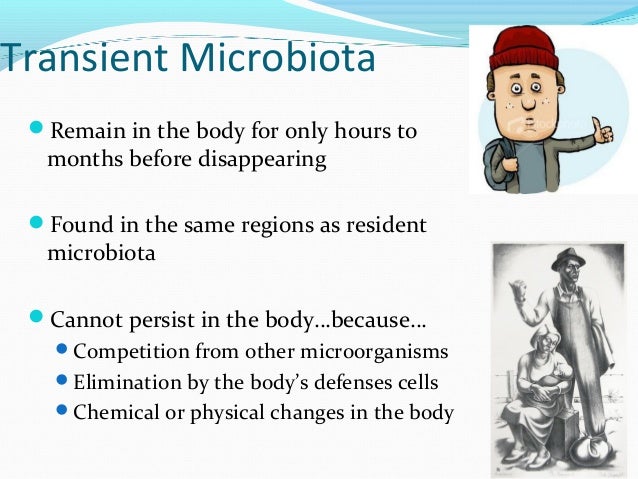 Microbial flora-of-the-human-body