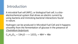 Microbial fuel-cell corrected | PPT