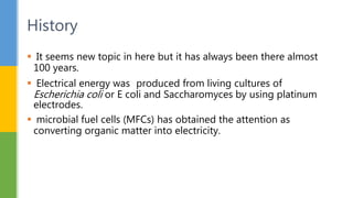 Microbial fuel-cell corrected | PPT