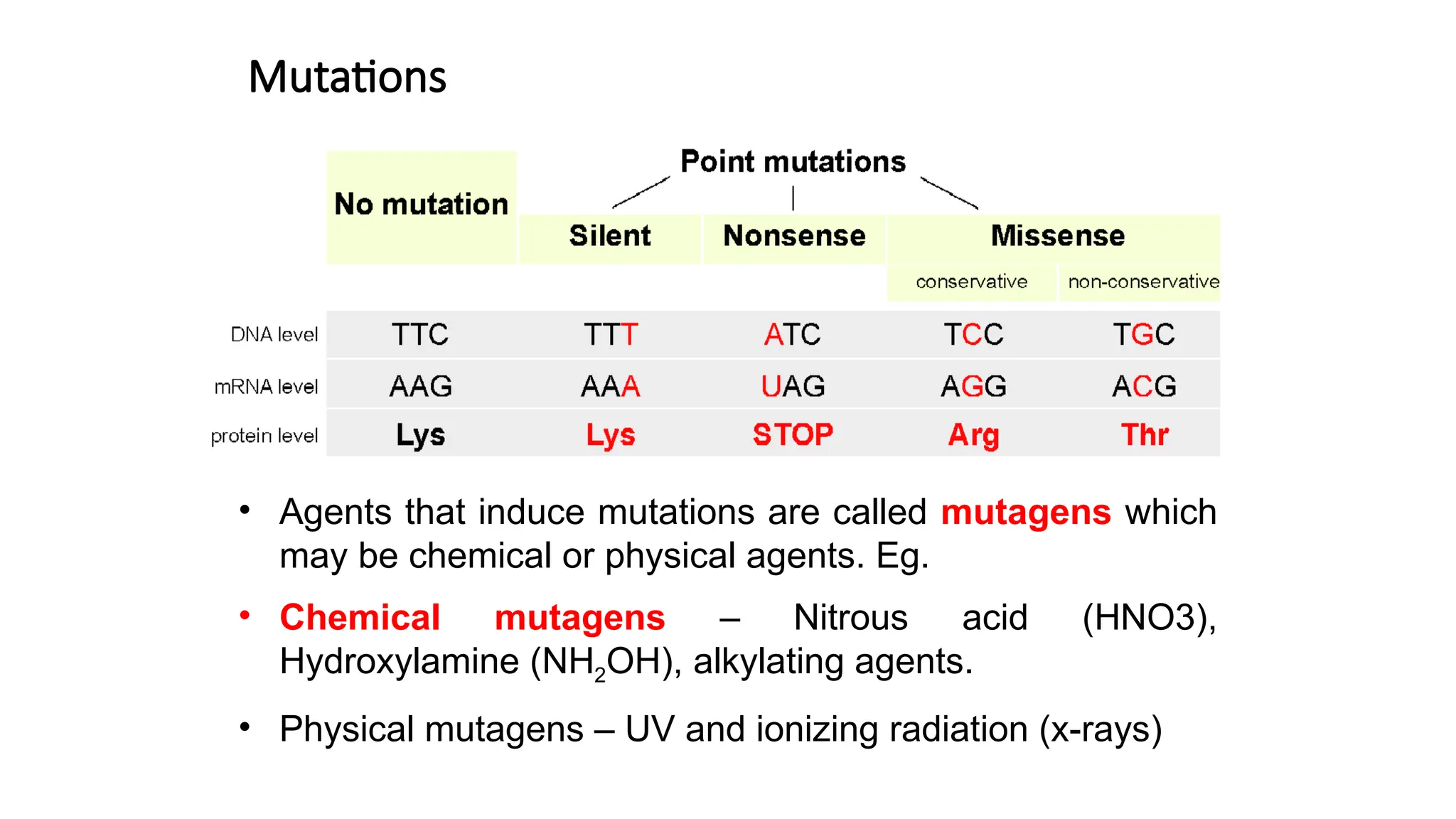 Microbial-Genetics.docx.By.Wajid.Ahmadpptx | PPT | Free Download