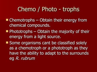 Microbial Growth | PPT