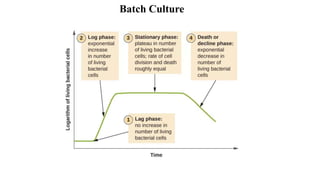 Microbial-Growth-Kinetics and it's applications | PPTX