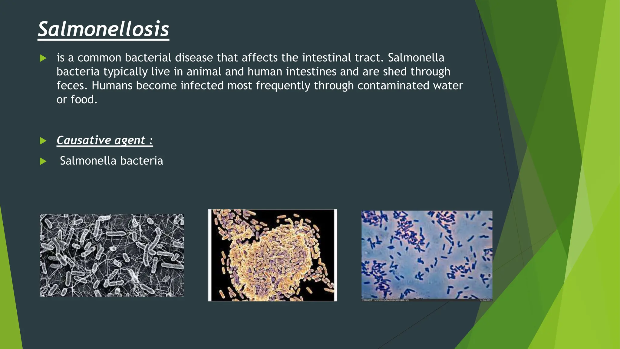 Microbial-infection-Digestive-System.pptx