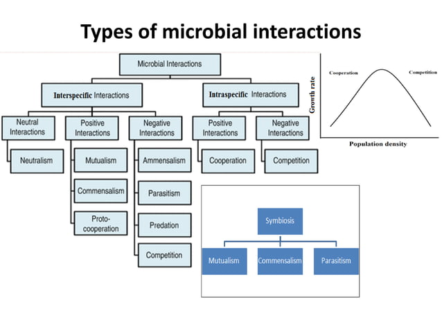 Microbial-Interactions xvdjdkkdkdkdkdldk | PPT