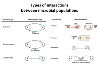 Microbial-Interactions xvdjdkkdkdkdkdldk | PPT
