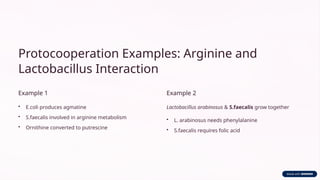 Microbial-Interactions-Protocooperation(Synergism).pptx