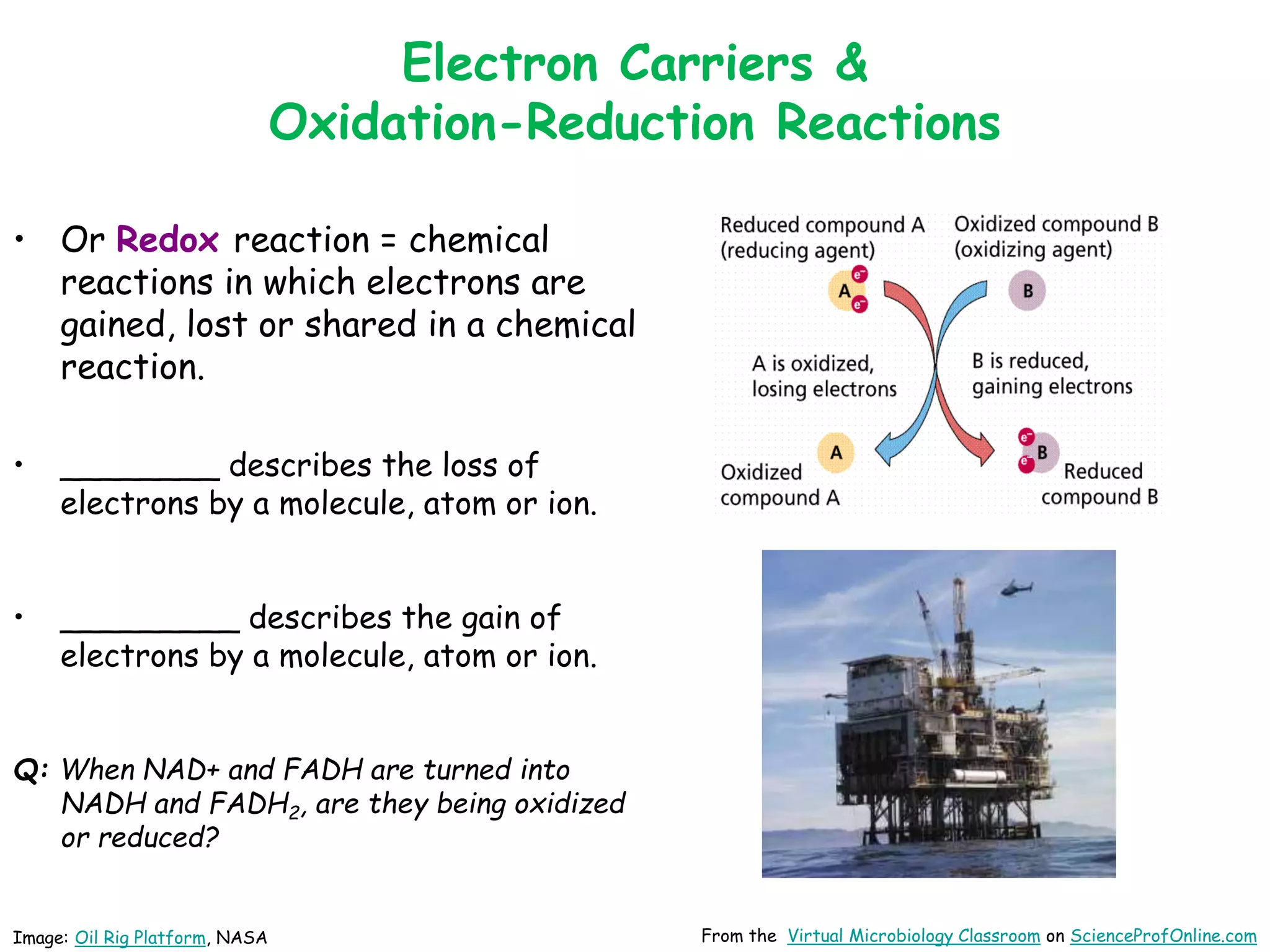 Microbial-Metabolism-Microbiology-Lecture-PowerPoint-VMC.ppt