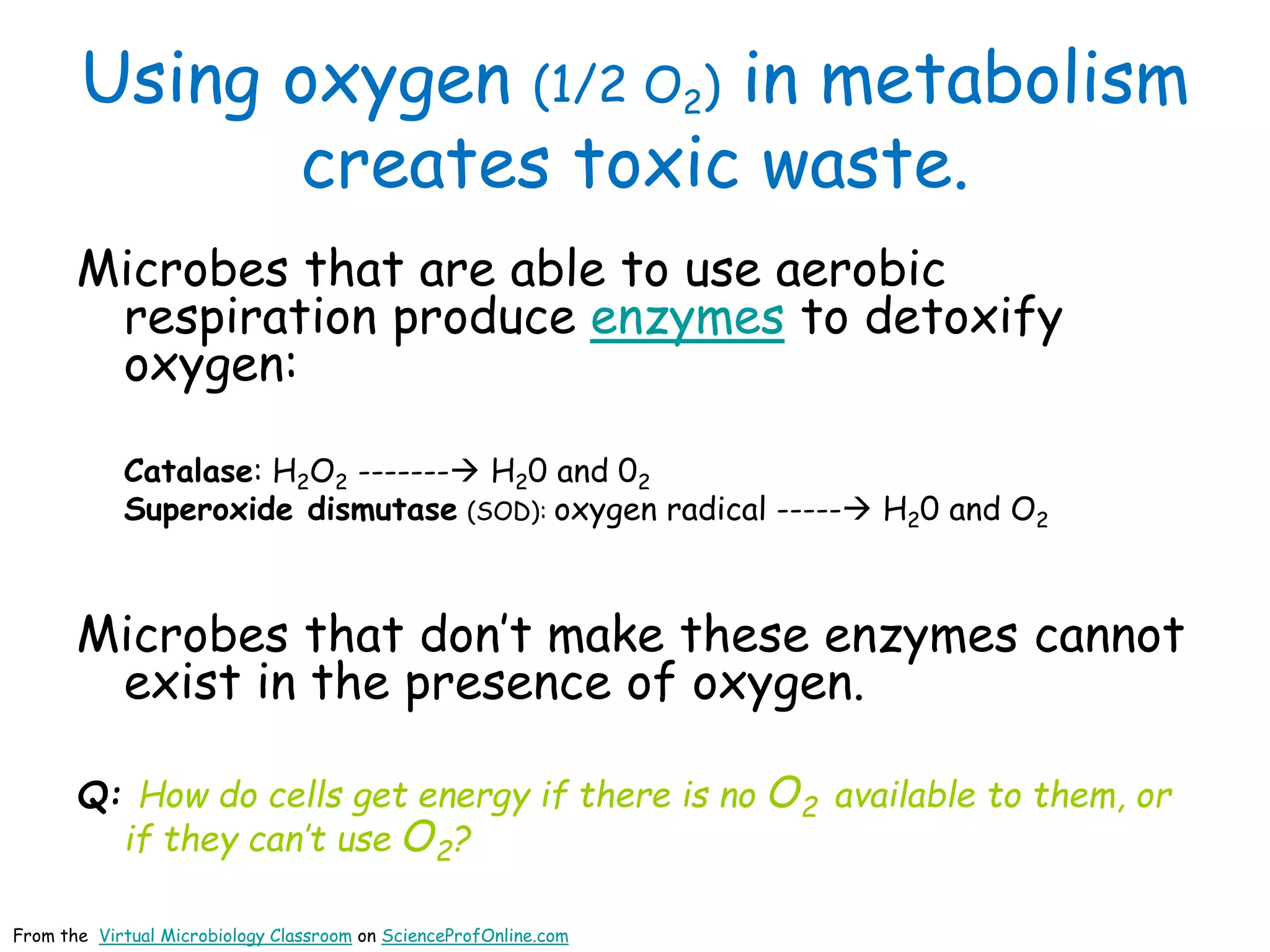 Microbial-Metabolism-Microbiology-Lecture-PowerPoint-VMC.ppt