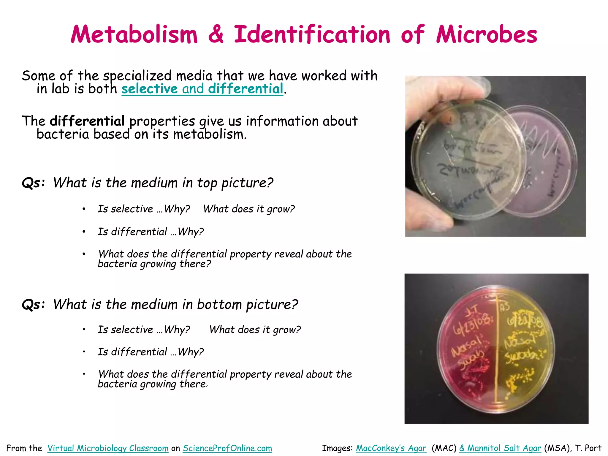 Microbial-Metabolism-Microbiology-Lecture-PowerPoint-VMC.ppt