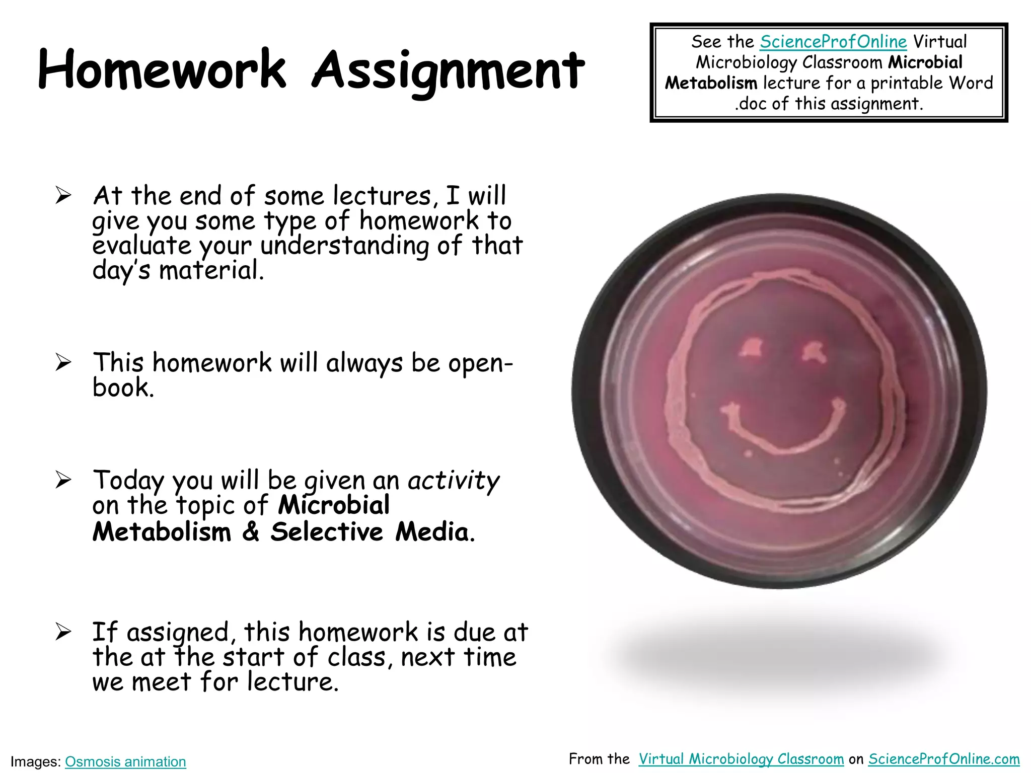 Microbial-Metabolism-Microbiology-Lecture-PowerPoint-VMC.ppt | Chemistry | Science