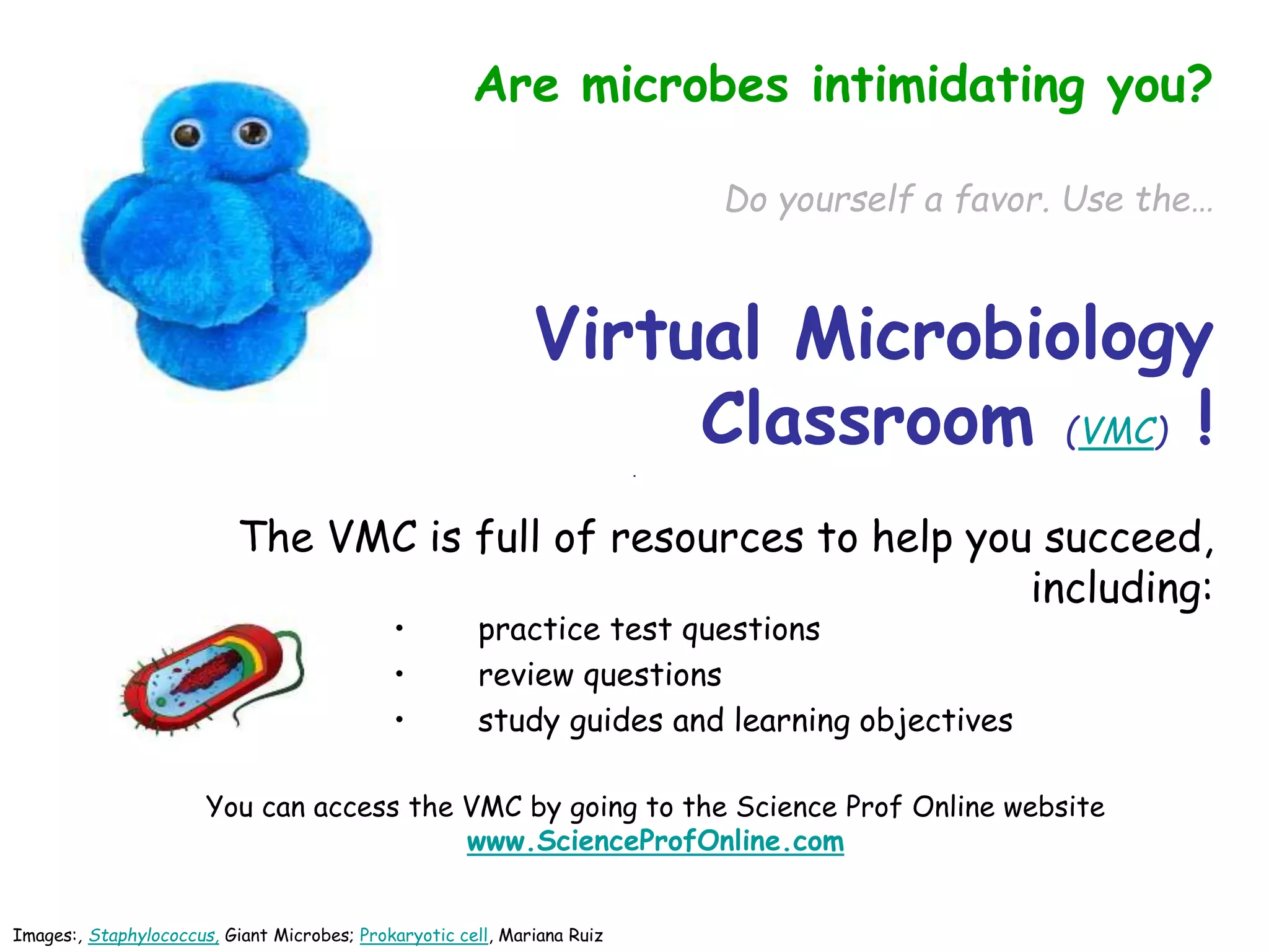Microbial-Metabolism-Microbiology-Lecture-PowerPoint-VMC.ppt