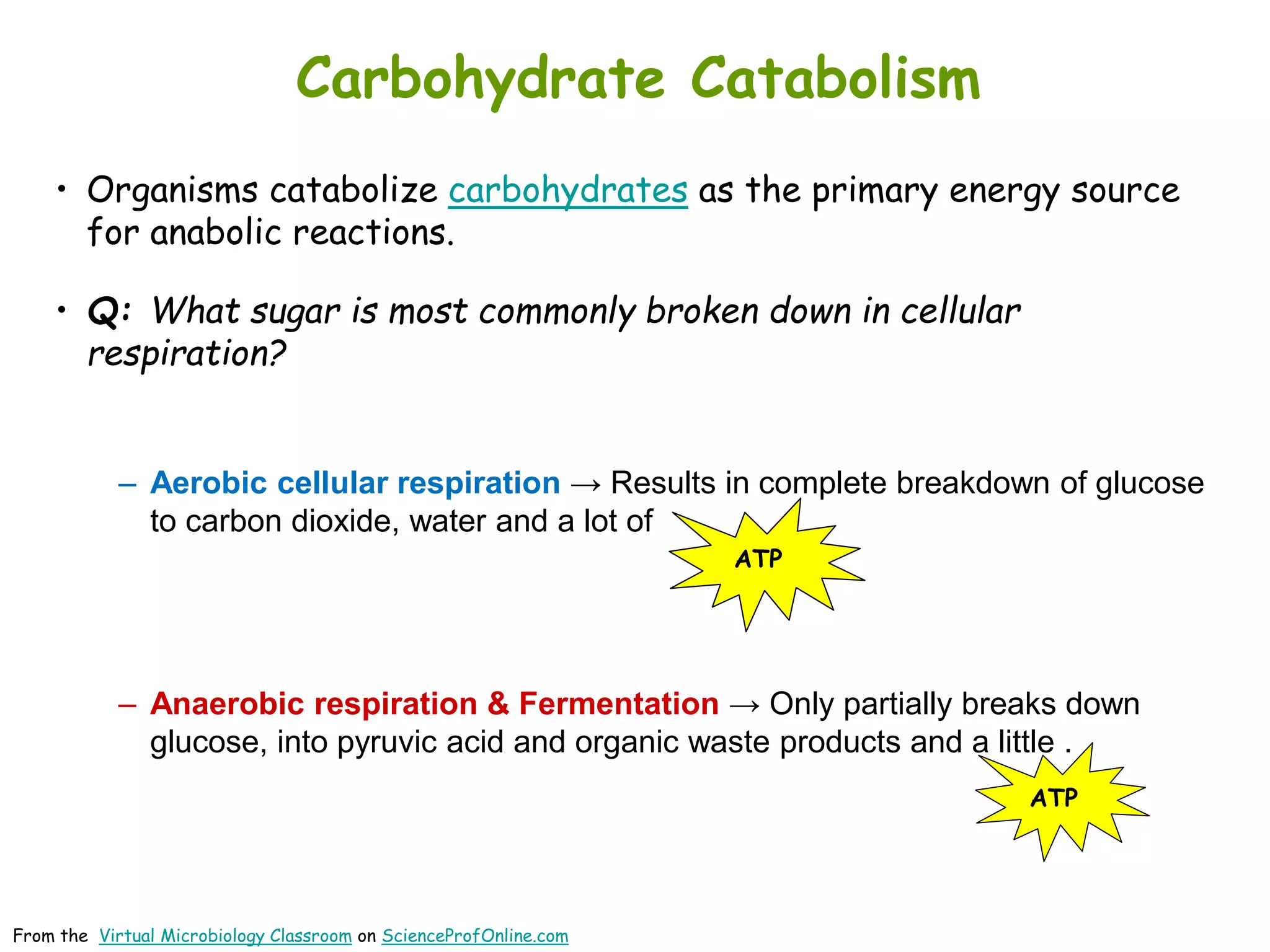 Microbial-Metabolism-Microbiology-Lecture-PowerPoint-VMC.ppt