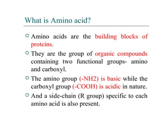 Industrial Production of Amino Acid (L-Lysine) | PPT