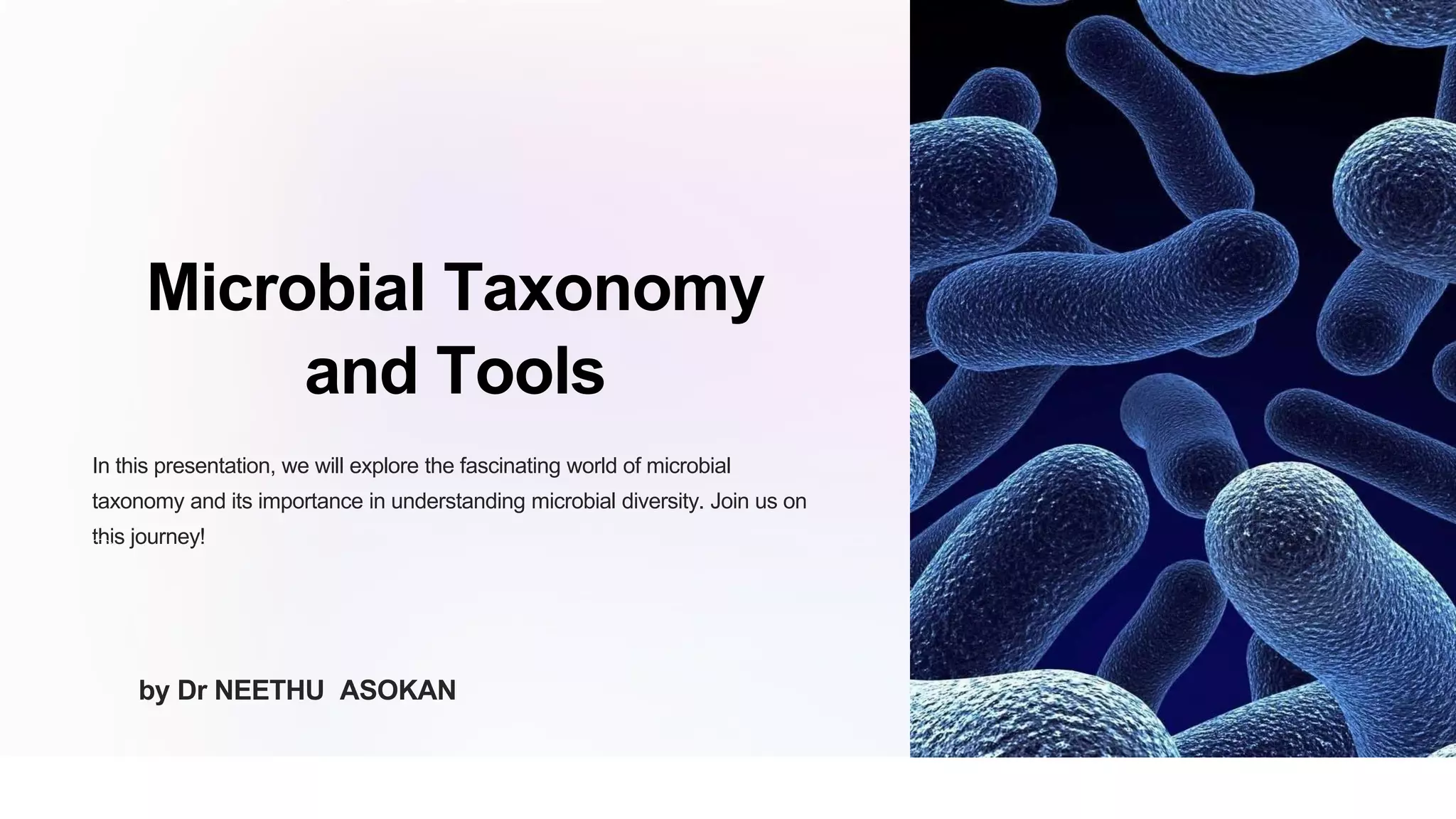 Microbial-Taxonomy-and-Tools.pptx